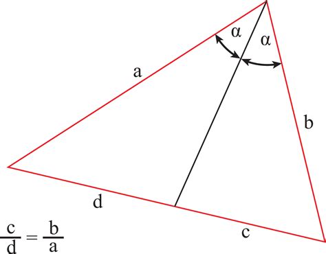 Simple Curve Geometry Xxgasm