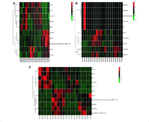 Hierarchical Clustering Of The Three Types Of Genes Among Three Download Scientific Diagram