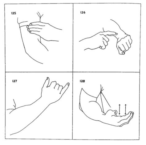 Pidgin Sign Languages In The Pacific Northwest Chinook Jargon