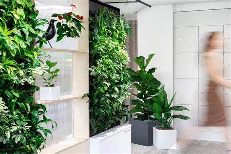 Naava Deco Plant Selection