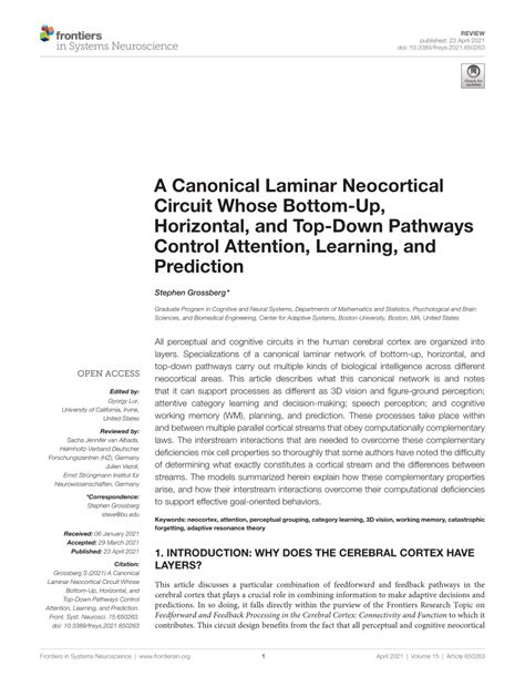 Pdf A Canonical Laminar Neocortical Circuit Whose Bottom Up