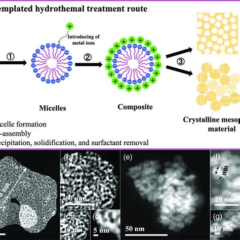 Comparisons Of Oer Performance Of The Recently Reported Electrocatalyst Download Scientific