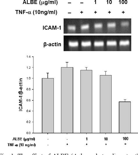Figure 1 From Anti Inflammatory Effects By Arctium Lappa L Root Extracts Through The Regulation
