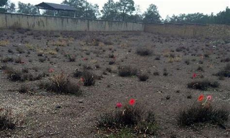 اجبار بهائیان به دفن در گورستان خاوران، تلاشی برای نابودی اسناد کشتار ٦٧ ایندیپندنت فارسی