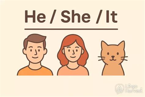 Basic English Pronouns I You He She It We They For Beginners