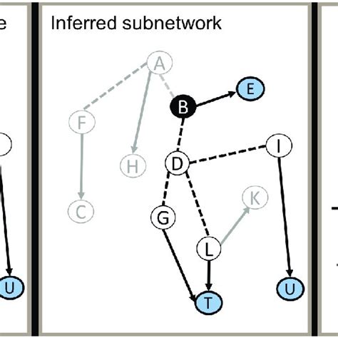 Overview Of Subnetwork Inference Task The First Panel Shows A