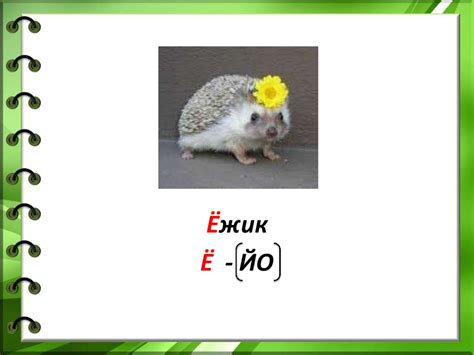 Буквы Е Ё Ю Я презентация онлайн