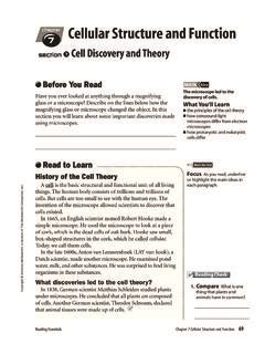 Cellular Structure And Function TiGreer Science Cellular Structure And Function Tigreer