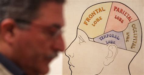 Watching Porn May Shrink Your Brain Or Porn Watchers May Already Have