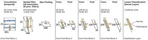 figure 1 from deep learning with convolutional neural networks for decoding and visualization of