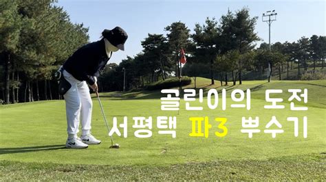 골린이의 도전 서평택 골프클럽 파3 도전기 Youtube