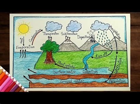 Water Cycle Diagram Drawing How To Draw Well Labeled Water Cycle Diagram Step By Step YouTube