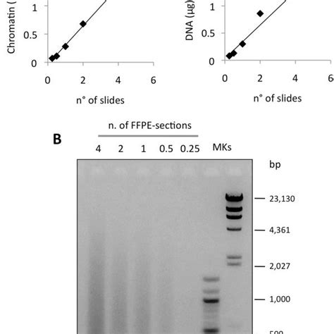 Setting Of Chromatin Extraction Conditions For Low Quantity Of Starting Download Scientific