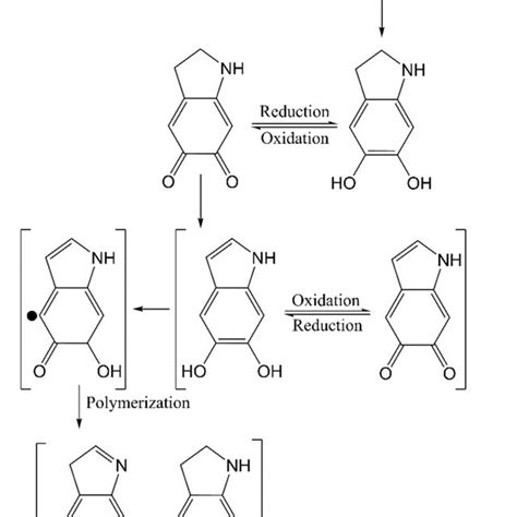 A Ftir Atr Spectra Of The Neat Mcs Black The Pda Modified Mcs