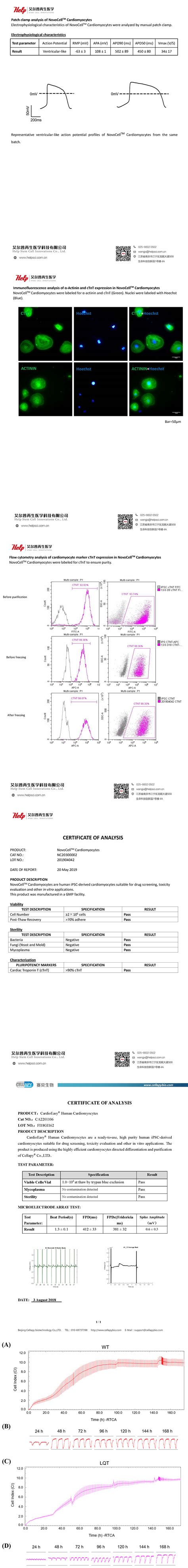 Cardiotoxicity Evaluation Of Tyrosine Kinase Inhibition Using Human Induced Pluripotent Stem