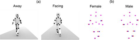 Figure 1 From The Gender Based Facing Bias In 3 D Biological Motion Perception Semantic Scholar