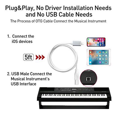 How To Connect Midi Keyboard To Audio Interface Startcold