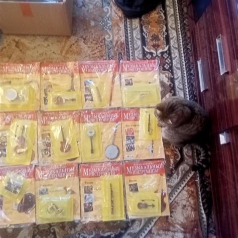 Коллекционные музыкальные инструменты купить в Томске цена 1 200 руб дата размещения 01 05