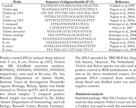 Sequence Of Oligonucleotide Probes Hybridized On The Membrane Download Table