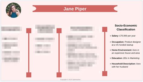 Capture Perfect Customer Profiles With Easy Tool Opentracker