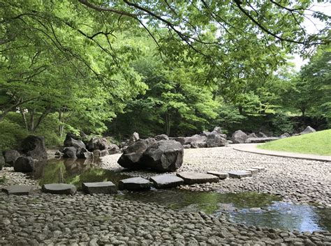 四季の森公園で水遊びじゃぶじゃぶ池の運転が始まりました 2020年7月11日 土 横浜湘南で子供と遊ぶ あそびい横浜湘南