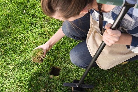 5 Best Sod Pluggers Right Now Buyers Guide