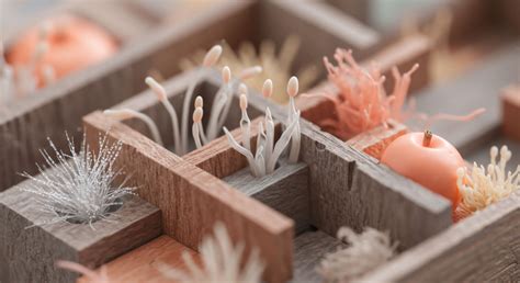 Systemic Barriers → Term