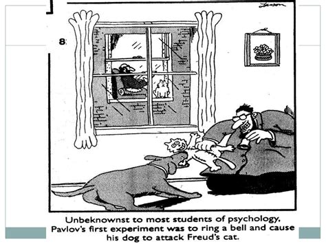 Ap Chapter 6 Learningpptclassical Conditioning Operant Condition