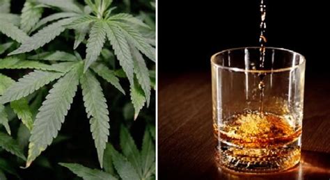 This New Hemp Whiskey Means Actual Weed Infused Whiskey Is Coming Soon