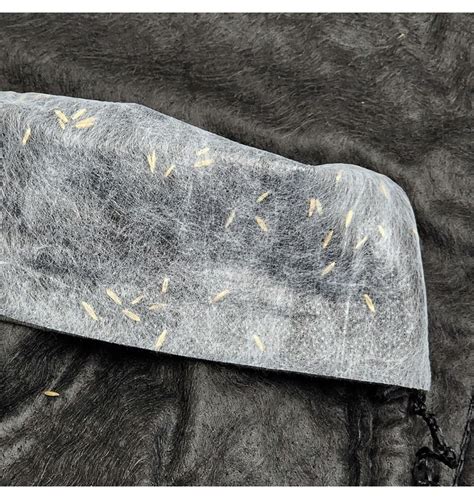 2669 식생 Sellfre 토낭 소 블랙 경사면 조경 산사태 씨앗부착 녹화 티몬