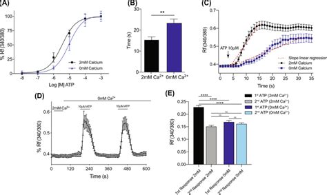 Atp Evokes Intracellular Calcium Responses In Calcium Free Buffer A