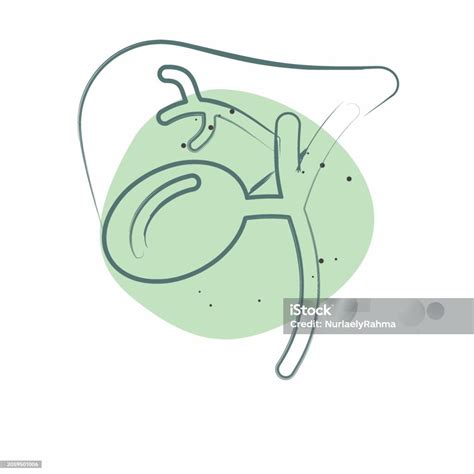 아이콘 쓸개 인간 장기 기호와 관련이 있습니다 색상 별점 스타일 심플한 디자인 편집 가능 간단한 일러스트레이션 근육에 대한 스톡 벡터 아트 및 기타 이미지 Istock