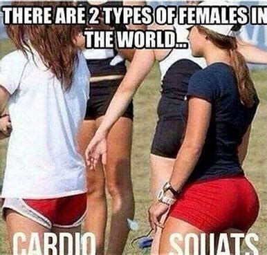 West Training Fitness Training