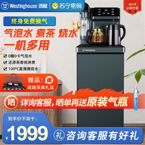 西屋茶吧机饮水机家用高端客厅用气泡水机自制苏打水全自动下置式上水冷热立式智能双出水气泡水机WTH T3106D 冰温热 视频介绍 西屋茶吧机
