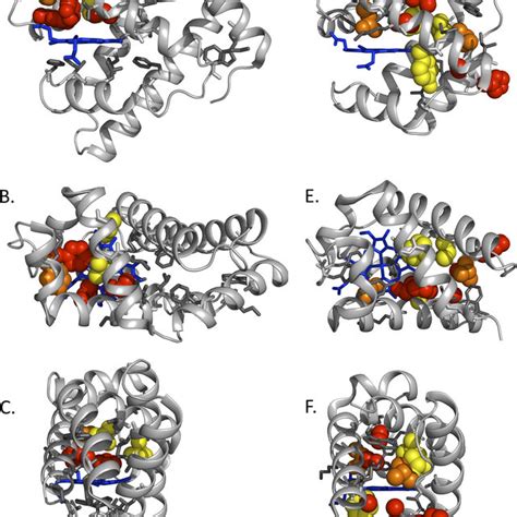 Time Courses For Geminate Recombination In Multiple Tunnel Mutants Of