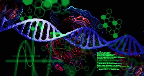 Image Of Dna Strands With Data Processing Over Chemical Structures Stock Illustration