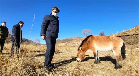 自治区林草局副局长娄伯君调研保护区森林草原防火工作