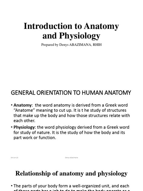 Introduction To Human Anatomy And Physiology Pdf