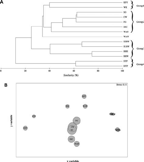 A Bray Curtis Cluster Analysis Dendrogram Generated From