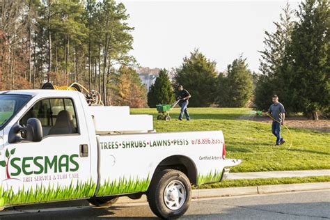Tree Service Atlanta Tree Removal Atlanta GA Sesmas Tree Service