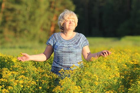 Asinszāles Sveramās Tējas Katalogs Kurmīši