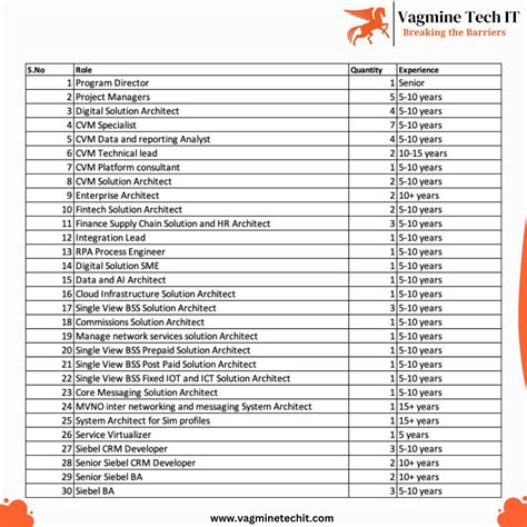 vagmine tech it on linkedin connection clients johannesburg