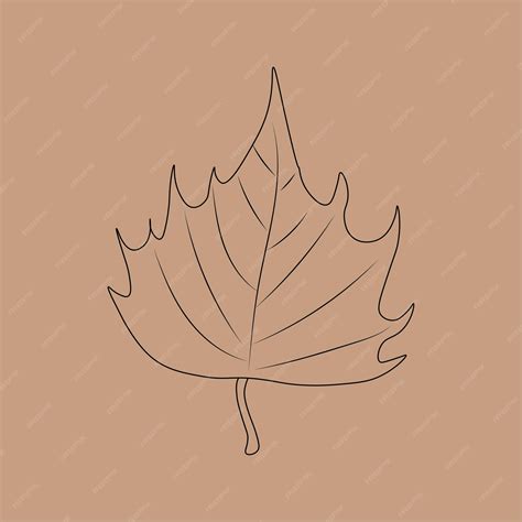 Premium Vector Set Of Hand Drawn Leaf Outlines Vector Illustration On
