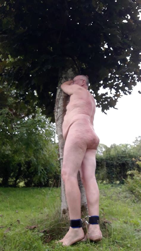 Double Whipping Tree