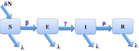 Compartment Diagram Of The Seir Model 2 With Vital Dynamics Download Scientific Diagram