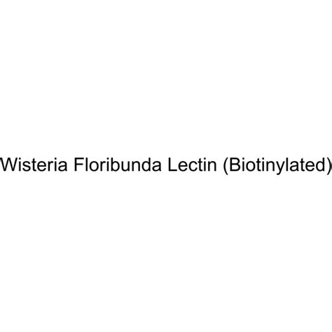 Wisteria Floribunda Lectin Biotinylated Wfl Biotinylated Plant
