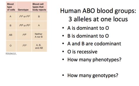 Section 7 Genetics Populations Evolution And Ecosystems Flashcards