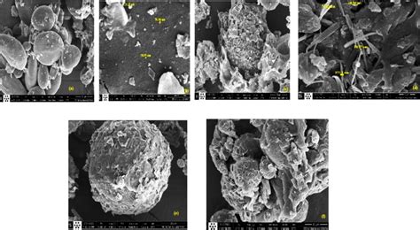 The Results Of Sem Micrograph A B Beeswax Microcapsule C D