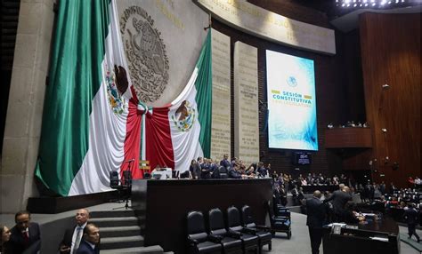 Diputada De Morena Plantea Reforma Constitucional Para Evitar Nepotismo