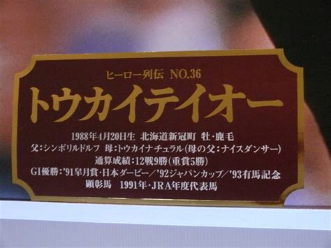 Yahooオークション B1サイズ 非売品 Jra ヒーロー列伝 No36 トウカ